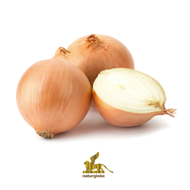 Cipolle - Un prodotto coltivato nel territorio - Naturglobe